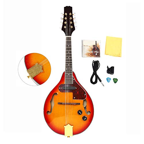 Ukuleles, Mandolins & Banjos Saga AM-10 A-Model Mandolin Kit Saga ...