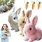 Sherum Bunny Pal Fanyil Bunnypal - Robot lapin interactif - Jouet ...