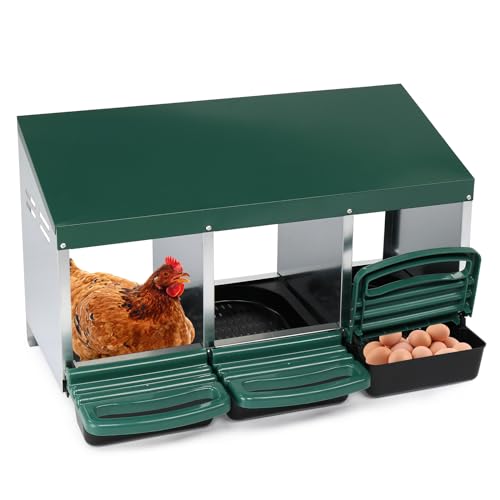 Les dimensions et tailles d'un pondoir pour poules