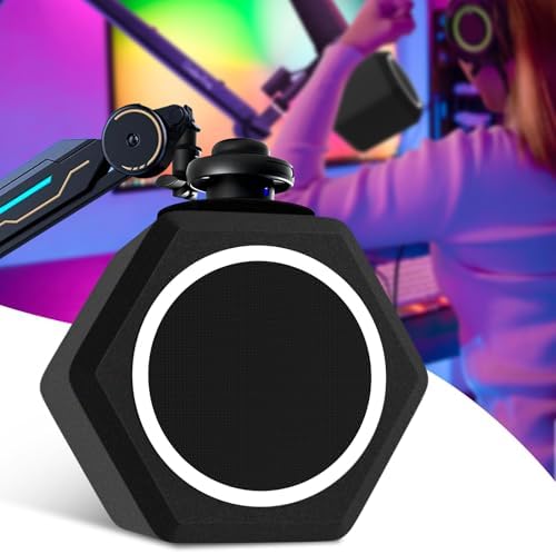 Amazon.com: Professional Microphone Isolation Ball Shield - Superior ...