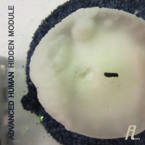 Amazon.com: Hidden Module : Advanced Human: Digital Music
