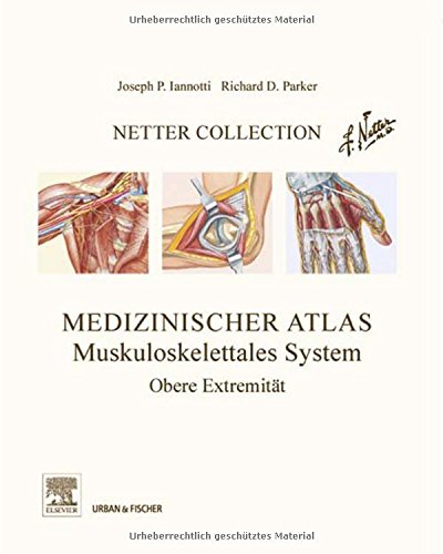 Netter Collection Muskuloskelettales System 01: Obere Extremität ...