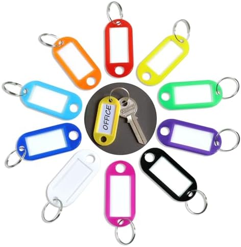Redamancy 100 Pack Key Tags with Labels,10 Colors Key Fobs with Labels ...