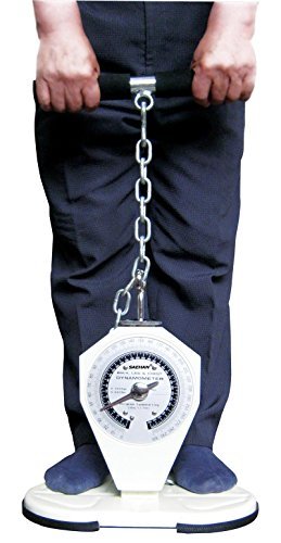 Buy Saehan Back - Leg - Chest Dynamometer Pack of 1 Pcs Online at Low ...