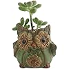 Amazon.com : Ogrmar 6Pack Owl Plant Window Boxes Cute Owl Flower Pot ...