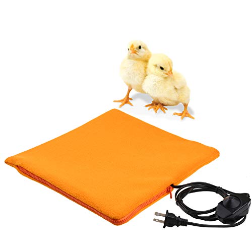 Best Heated Poultry Brooder 2022 Where to Buy? PoultryTalk.com
