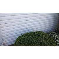 Buy Iron OUT Outdoor Rust Stain Remover, 1 Gallon Online at Low Prices ...