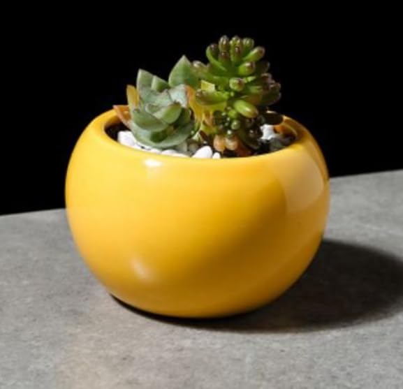 Shagun Farm- Ceramic Pot Yellow Plain Ball Pot, only Pot and Tray 6 ...