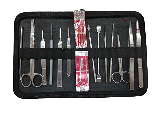 SURGICAL Stainless Steel Dissection Kit : Amazon.in: Industrial ...