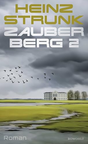 Hans Castorp heißt jetzt Jonas Heidbrink - Mit „Zauberberg 2“ legt ...