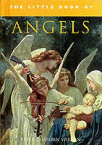 The Little Book of Angels (Little Books): Peter Lamborn Wilson ...