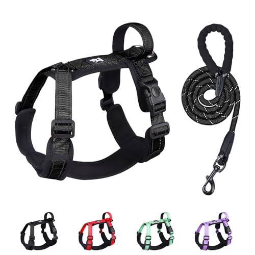 XL Dog Harness – The 15 best products compared - Wild Explained