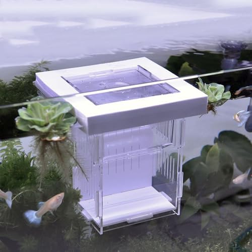 Amazon.com : Aquarium Fish Breeder Box, Aquarium Fish Tank Hatchery ...