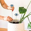 Amazon.com : Tuitessine Resin Plant Eyes Stakes Set of 2, Eyeball ...