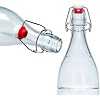 Danmu Art 6PCS Glass Bottles with Swing Top - Airtight Preserve Bottles ...