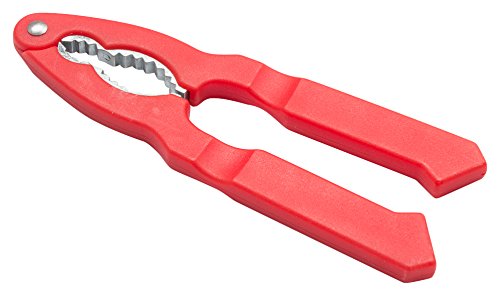Buy Hopesun Plastic Nut Cracker, Red Online at Low Prices in India ...