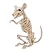 Amazon.com: Crazy Bonez Skeleton Rat : Home & Kitchen