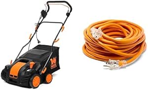 Amazon.com : WEN DT1516 16-Inch 15-Amp 2-in-1 Electric Dethatcher and ...