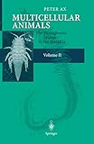 【発売日：2013年03月09日】・製造元:Springer
