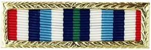 Amazon.com: Genuine US Ribbon Unit: DHS Outstanding Unit Award with ...