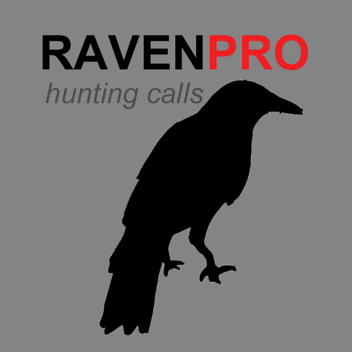 REAL Raven Hunting Calls App - 7 REAL Raven CALLS & Raven Sounds ...