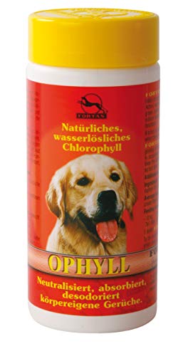 Fortan Hund – Die 15 besten Produkte im Vergleich - www.prima-tierfutter.de