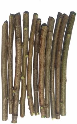 Buy AMTC Organic Neem Datun Tooth Brush/ Fresh NEEM chew Sticks ...