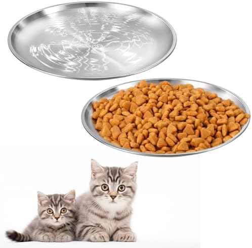 Amazon.com : Gjinxi 2Pcs Stainless Steel Cat Dishes for Food and Water ...