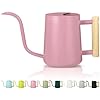 Amazon.com : Watering Can Indoor Plants, 35oz Small Indoor Stainless Steel Metal Watering Can ...