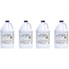 Amazon.com : Champion 4-Pack 1-Gallon Pool Shock Liquid Chlorinator ...