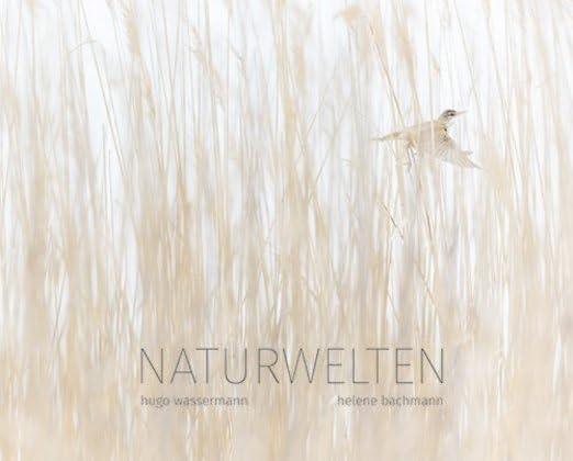 Naturwelten : Bachmann, Helene, Wassermann, Hugo: Amazon.de: Bücher