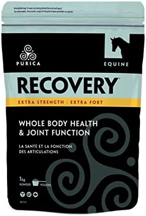 PURICA Recovery Extra Strength Extra Fort - Premium Equine Supplement ...