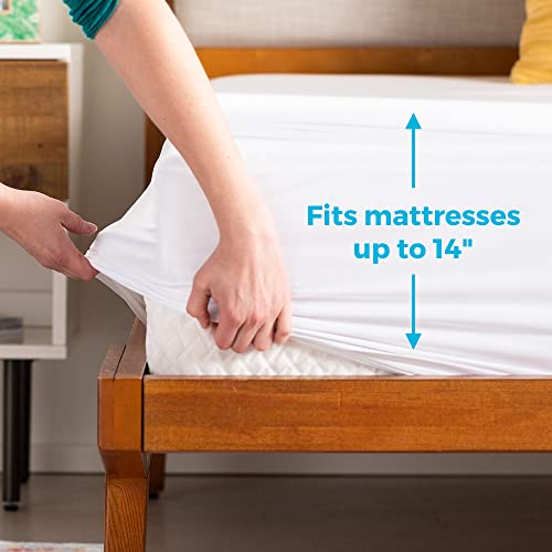 The 30 Best Waterproof Mattress Protectors of 2025 [Verified] - Cherry ...
