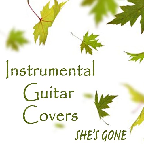 Play Instrumental Guitar Covers - She's Gone by Steve Petrunak & Guitar ...
