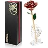 Amazon.com: Anthonic Gold Dipped Infinity Rose Last Forever Flower ...