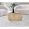 Amazon.com: Meridian Furniture Priya Collection Modern | Contemporary ...