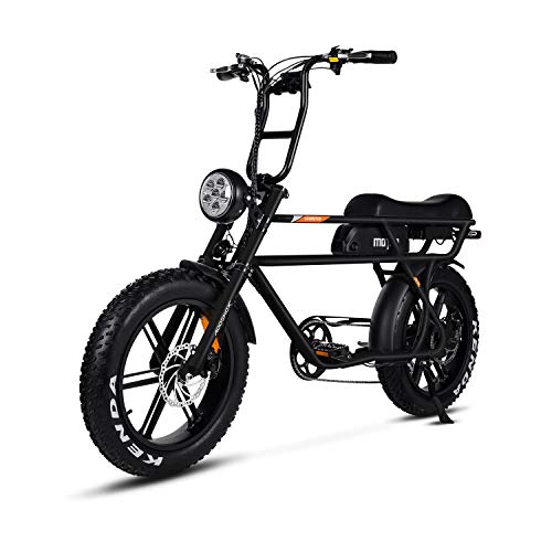 SPEEDRID Fat Tire Electric Bike Is The Ultimate Wheels For Your ...