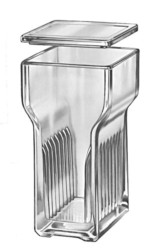 Amazon.com : Graham Field Vertical Staining Jar : Arm Slings : Health ...