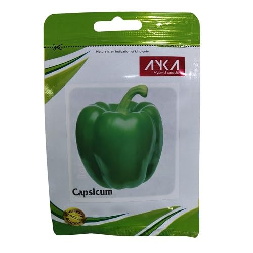 EXCEL OVERSEAS Capsicum Seeds Farm Fresh and Nutrient-Packed Vegetable ...