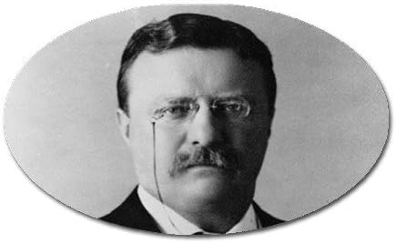 Amazon.com: President Theodore Roosevelt Oval Magnet : Home & Kitchen