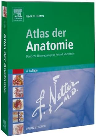 Amazon.in: Buy Netter - Atlas der Anatomie Book Online at Low Prices in ...