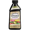 Amazon.com : Spectracide Immunox Multi-Purpose Fungicide Spray ...