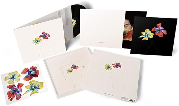 Così Speciale - Box Deluxe: Diodato: Amazon.it: CD e Vinili}