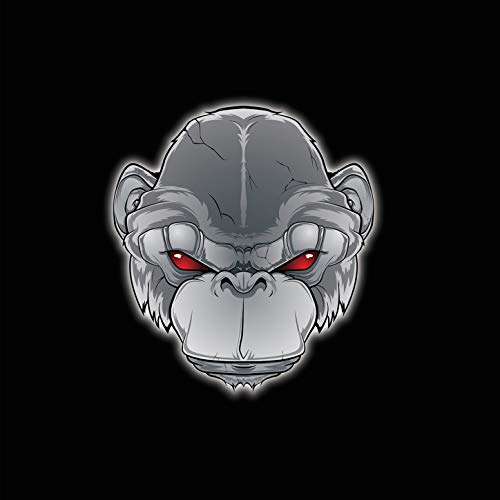 Play Monkey Okay by Monkey Okay on Amazon Music