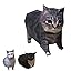 Cat Meme Origami Papercraft Kit, 1:1 Life Scale 3D Paper Models ...