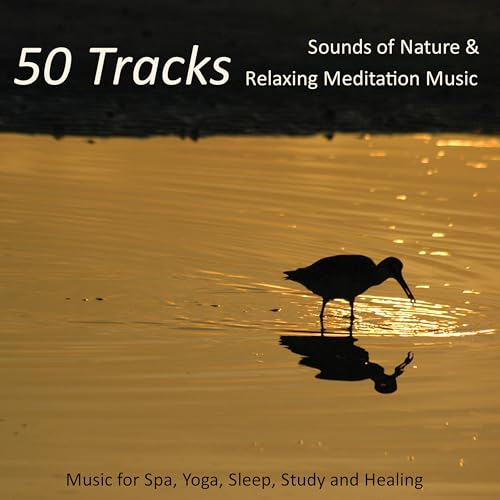 Sleeping Music (Deep Sleep Meditation) song by Nature Caldwell from 50 ...