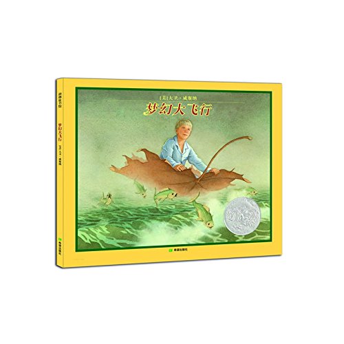 Amazon.com: Free Fall (Chinese Edition): 9787537973564: David Wiesner ...