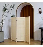 Amazon.com - Pawlabay 3 Panel Short Panel Divider Screen,3.95 FT Tall ...