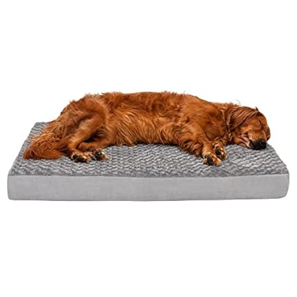 The 30 Best Giant Breed Dog Beds of 2023 [Verified] - Cherry Picks