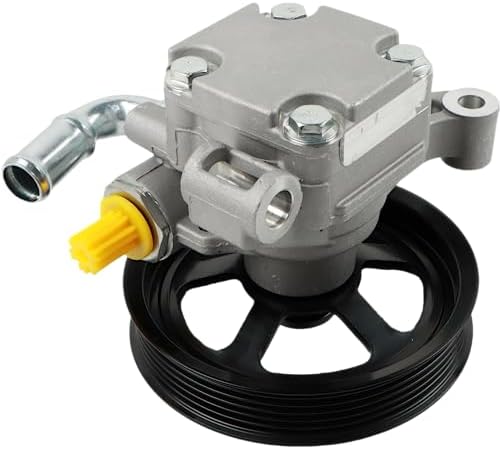 Daysyore Power Steering Pump 20-2403 Fits for 2008-2017 Enclave/2009 ...